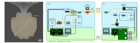 Fast Single Photon Detectors And Real Time Key Distillation Enable High Secret Key Rate Quantum