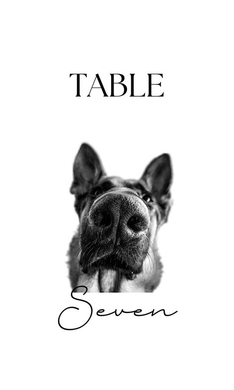 Custom Pet Table Numbers Etsy
