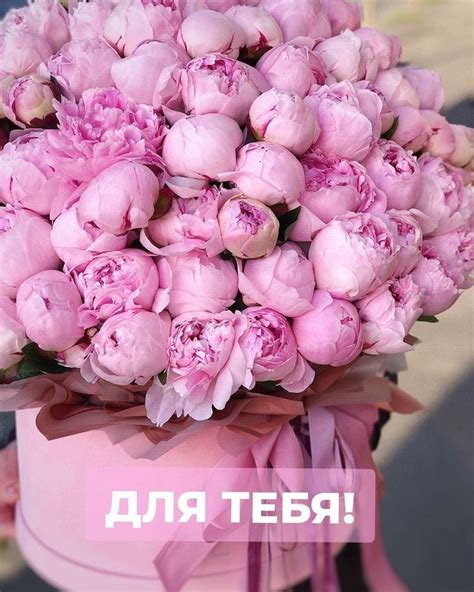 Пин от пользователя Алена Мисько на доске С днем рождения Забавные открытки ко дню рождения