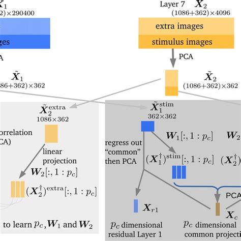 The Canonical Correlation Analysis Cca Procedure To Identify The