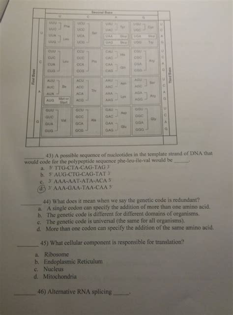 Solved 36 Which Of The Following Is A Codon C Uuc D U