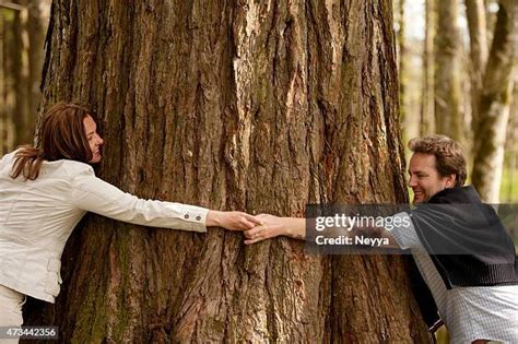 Sequioa Forest Photos And Premium High Res Pictures Getty Images Sequioa Forest Photos And Premium High Res Pictures Getty Images