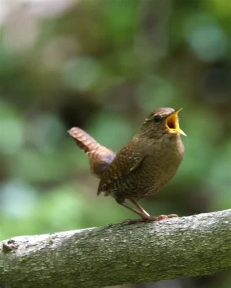 Bikash Kumar Naik On Linkedin Linkedin Leadership Jobsearch