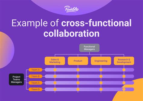 Cross Functional Collaboration Xfn Benefits Examples And Tips