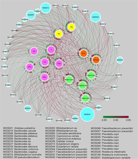 The Correlation Network Constructed Using The Identified Metagenomic Download Scientific
