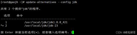 Linux 多个jdk版本切换linux切换jdk版本 Csdn博客 Linux 多个jdk版本切换linux切换jdk版本 Csdn博客