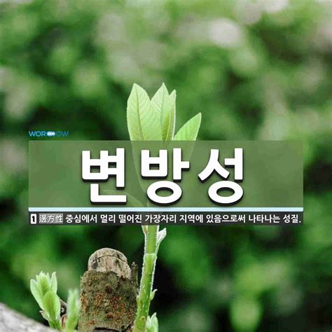 가온누리사회적협동조합 안녕하세요 안녕하십니까 저희 조합의 가치와 목표에 대해 말씀드리고자 합니다 우리는 변방을 공간적 개념으로 이해하는 것은 오해라고 믿습니다