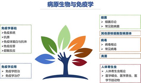 课程 安徽省网络课程学习中心e会学