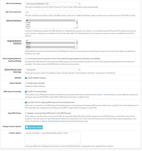 DNS Resolver Is Lacking Some Settings Options Netgate Forum