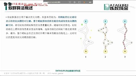 第十一节：蚁群算法（ant Colony Algorithm Aca） Youtube