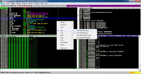 Understanding The Immunity Window