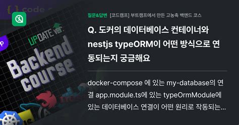 도커의 데이터베이스 컨테이너와 nestjs typeorm이 어떤 인프런 커뮤니티 질문and답변