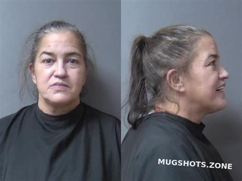 Lamons Candy Lee 04 03 2025 Madison County Mugshots Zone
