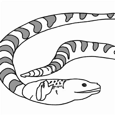 Aprenda A Desenhar Ikumi Unagiya Em 7 Passos Simples