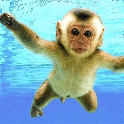 Pochi Romantic Hom1c1d3 Lyrics Genius Lyrics