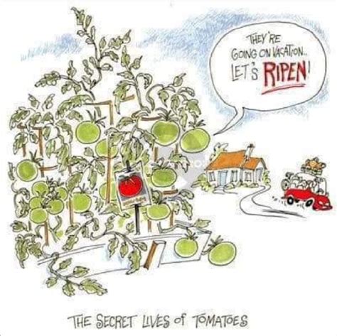 Tw Pornstars Holly Halston Pictures And Videos From Twitter Page 9