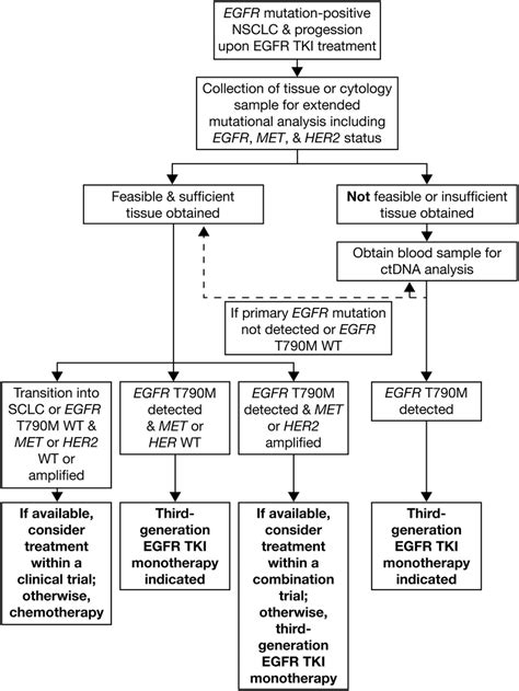 Egfr Mutation Testing Algorithm Wt Wild Type Download Scientific Diagram