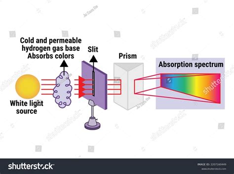 Structure Absorption Spectrum Stock Illustration 2207160449 Shutterstock