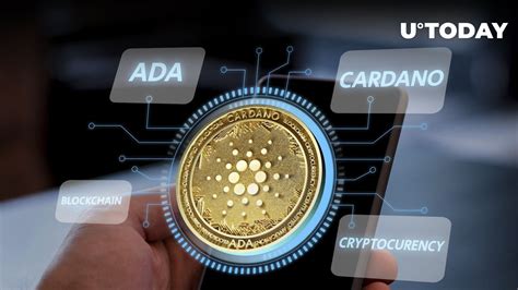 Cardano Light Wallet Gears For Major Release Details Utoday