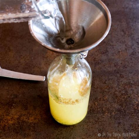 Fermented Ginger Beer Oh The Things Well Make