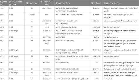 Phylogroup Sequence Type St Clonal Complex Cc Replicon Type