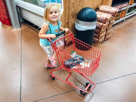 Trader Joes Grocery Shopping Haul How We Spent 75 To And Fro