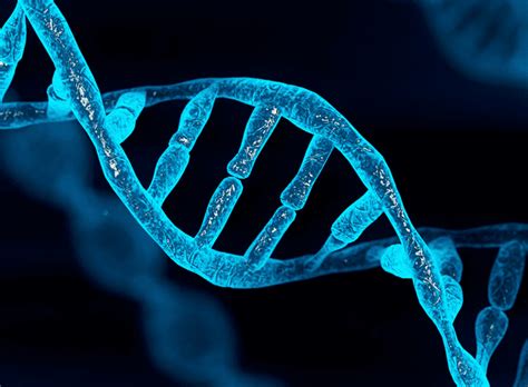 Mutagenesis Microbiology Class