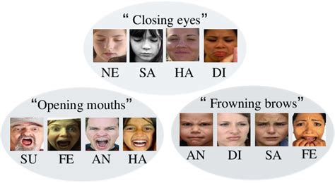 Figure 1 From Feature Decomposition And Reconstruction Learning For Effective Facial Expression