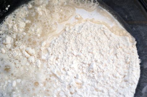 No Knead Bread Recipe By Jim Lahey Popsugar Food