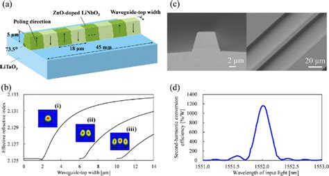 A Schematic View Of The Fabricated Ppln Waveguide B Modal Download Scientific Diagram