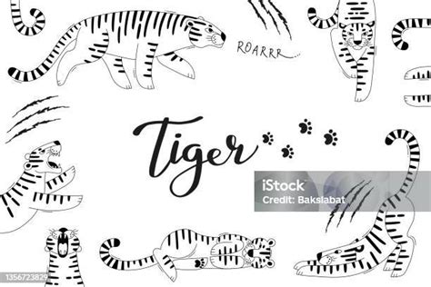 귀여운 호랑이 발 프린트와 스크래치카드 호랑이는 2022 년 새해의 조디악 상징입니다 2022년에 대한 스톡 벡터 아트 및 기타