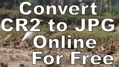 Fast How To Convert Cr2 To In 2 Steps Online YouTube