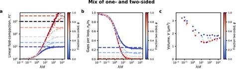 Figures And Data In Chromosome Organization By One Sided And Two Sided Loop Extrusion Elife