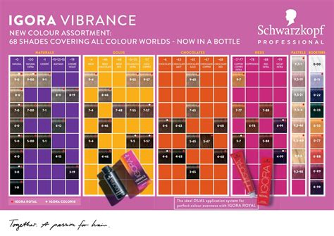Schwarzkopf Igora Vibrance Colour Chart Educational Chart Resources