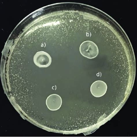 Inhibition Activity Of A B Lactiplantibacillus Plantarum 299v And Download Scientific