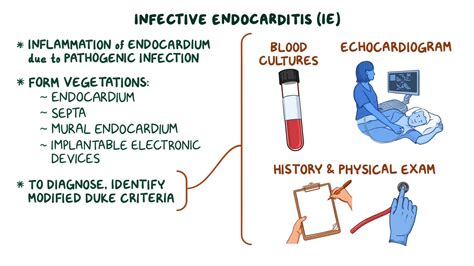 Video Infectious Endocarditis Clinical Sciences Osmosis