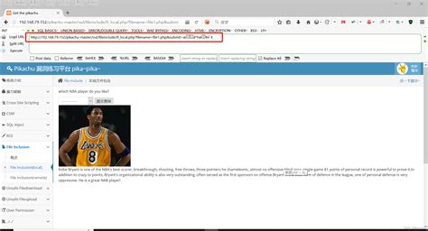 pikachu靶场 csrf闯关，文件包含、文件上传 pikachu靶场文件上传 csdn博客