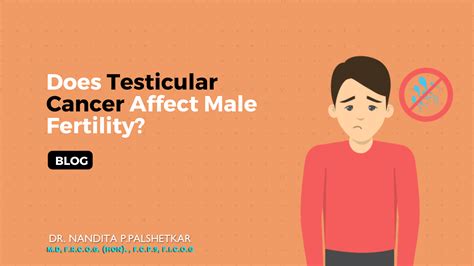 Does Testicular Cancer Affect Male Fertility