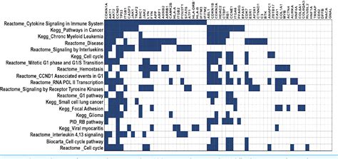 Figure 5 From Integration Of Exome Seq And Mrna Seq Using Dawnrank Identified Genes Involved In