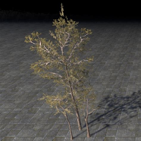 Online Saplings Desert The Unofficial Elder Scrolls Pages Uesp