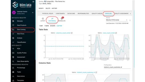 Blindata Help Profiling Metric
