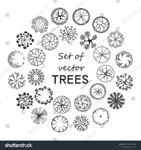 Trees Master Plan Tree Architectural Floor Stock Vector Royalty Free