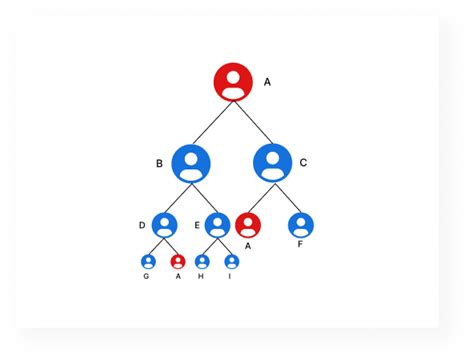 What Is A Binary Mlm Plan How Does Binary Compensation Plan Works