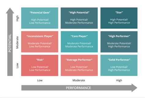 Using The 9 Box Grid With The Performance Values Matrix Using The 9 Box Grid With The Performance Values Matrix