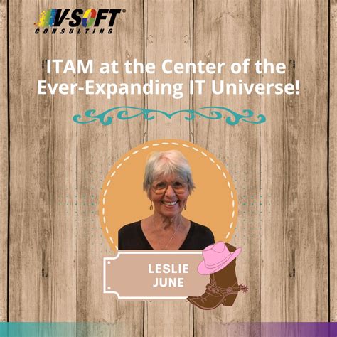 V Soft Consulting Group Inc On Linkedin Aceconference Iaitam V Itmanagement Networking