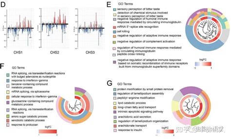 最新1区9 2分sci，铜死亡 乏氧 肿瘤分型 实验验证，肿瘤分型想发高分，可以借鉴这一篇！ 知乎