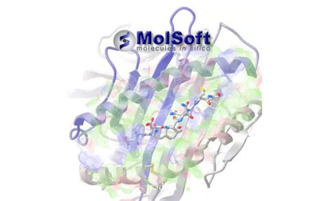 Molsoft Icm Pro破解版v3 9 3b 蛋白质结构分析软件 云创源码