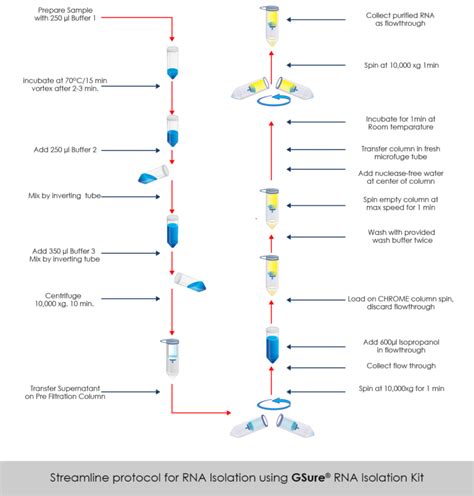 Gsure® Bacterial Rna Isolation Kit