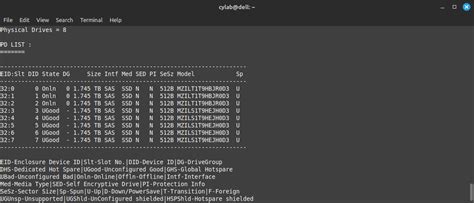 Install And Use Dell Perccli On Ubuntu Cylab Be