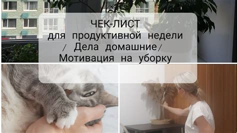 ЧЕК ЛИСТ для продуктивной недели Дела домашние Мотивация на уборку Youtube